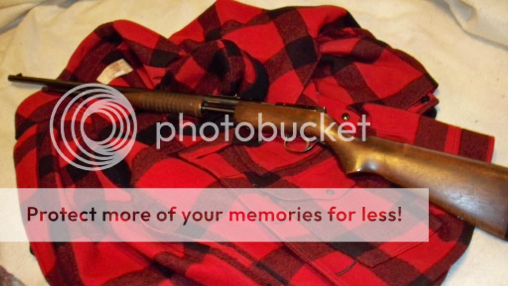 Noble 33A | Rimfire Central Firearm Forum