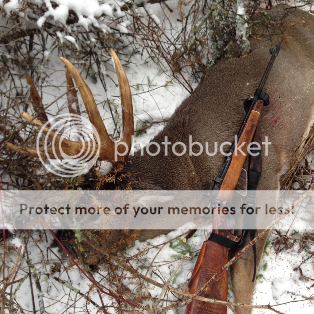 Tracking books and other references - The Hunting Beast